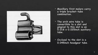 SEGMENTAL ARCH..... ..........pptx