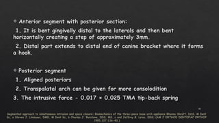 SEGMENTAL ARCH..... ..........pptx