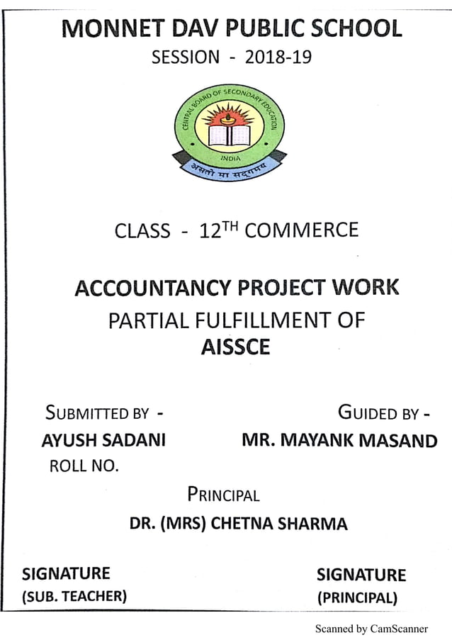 Segment analysis project class 12th | PDF