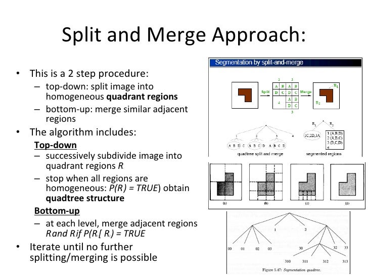 Segmentation