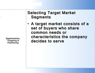 Segmentation Targeting Positioning | PPT