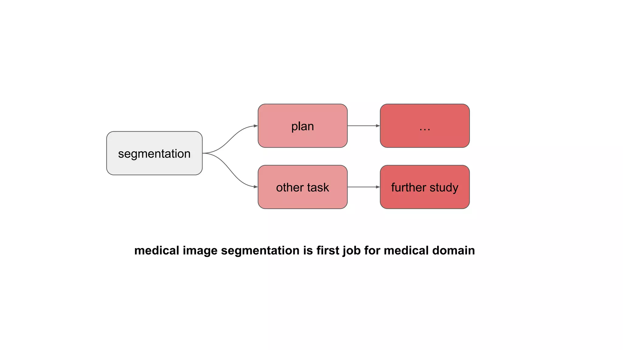 Medical Image Segmentation | PDF