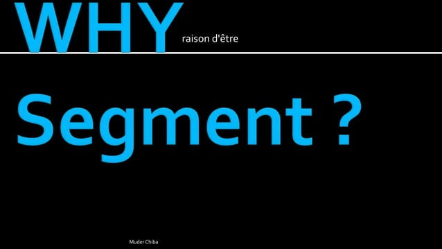 Segmentation- Science, Art and Practice | PPT | Free Download