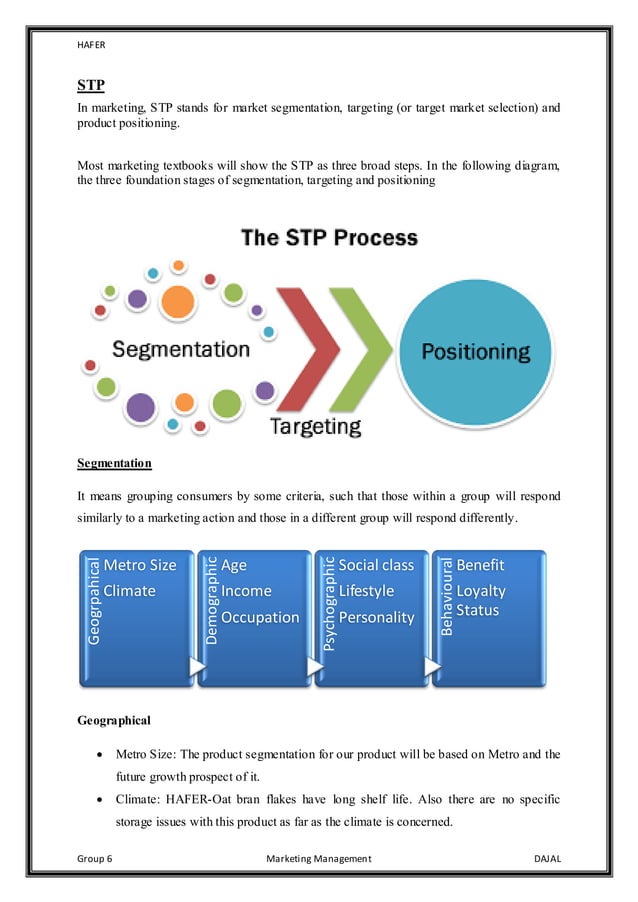 Segmentation, targeting and positioning strategy for HAFER | PDF