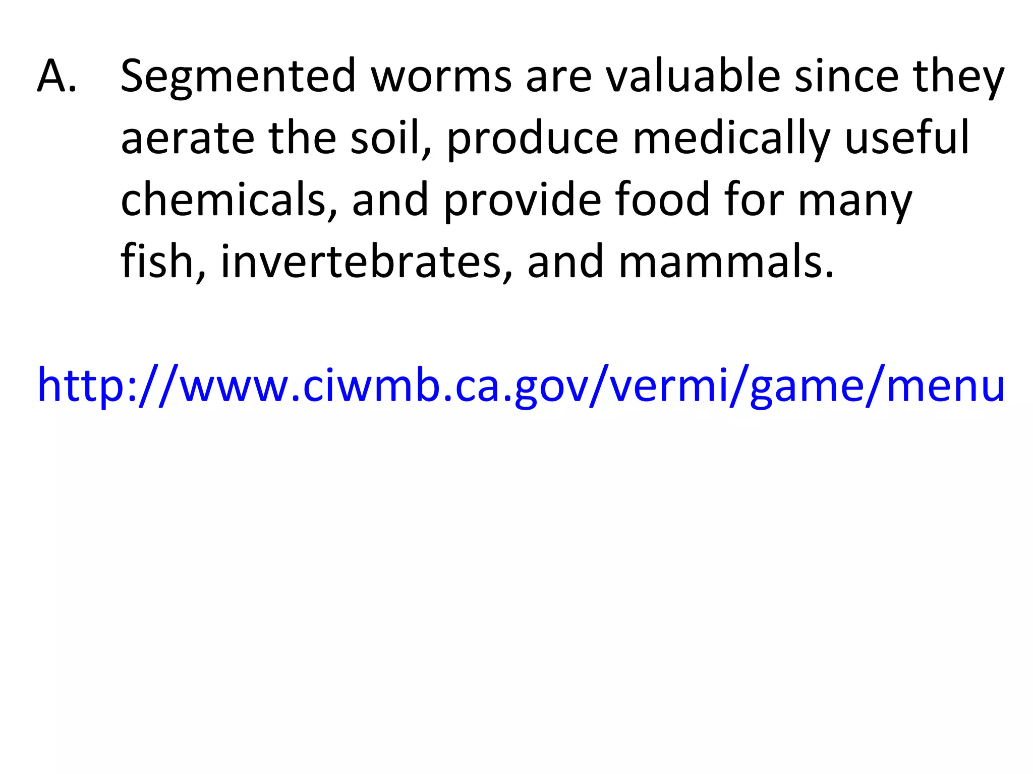 Segmented Worms | PPT