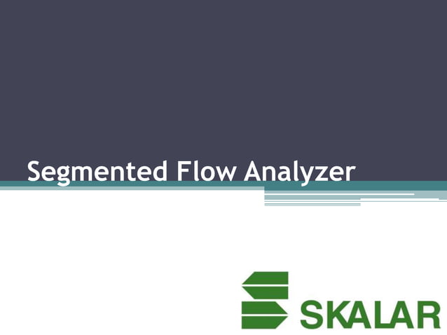 Segmented Flow Analysis (English) -1.pptx