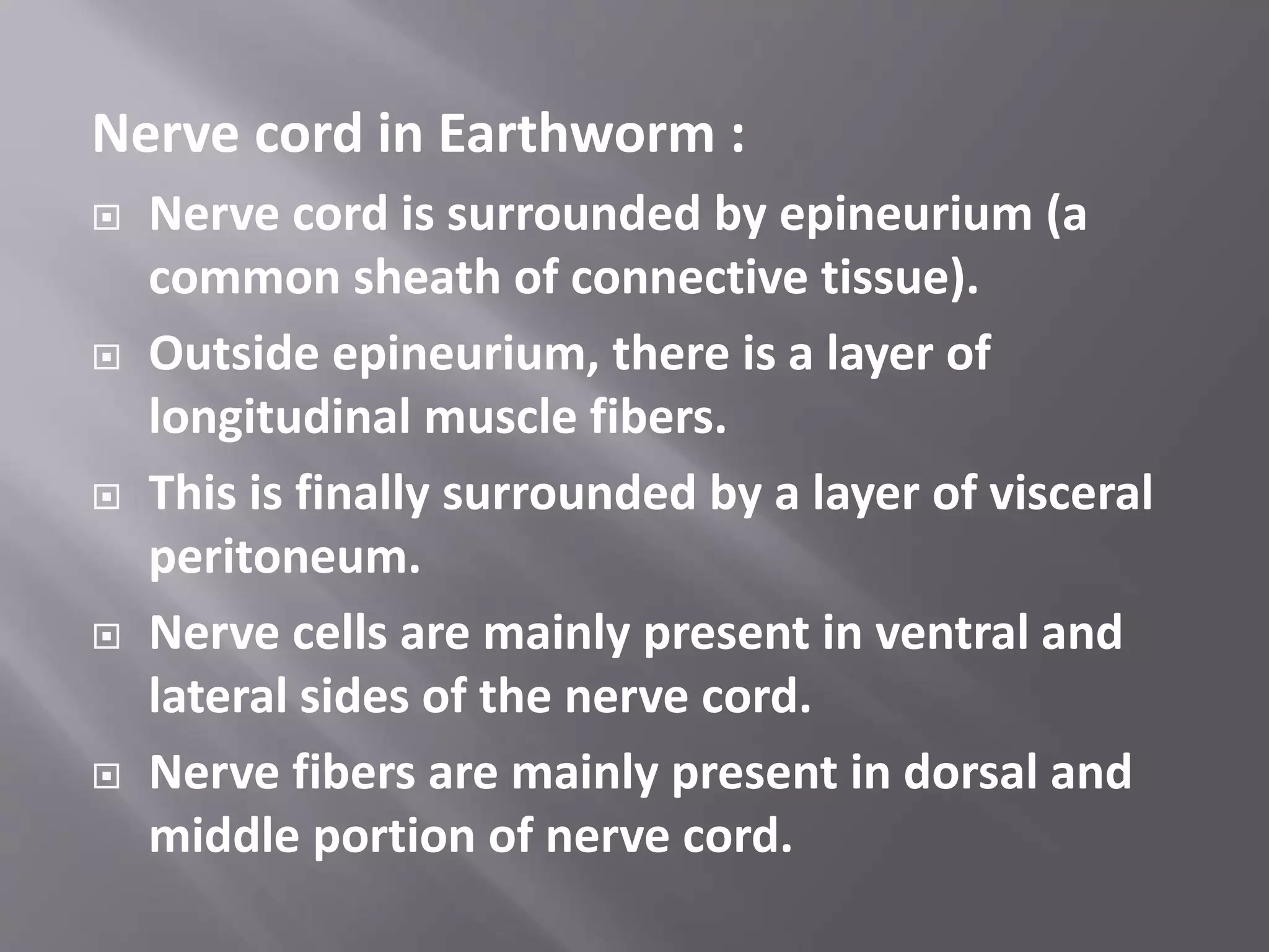 Segmented nervous system in annelids.pptx