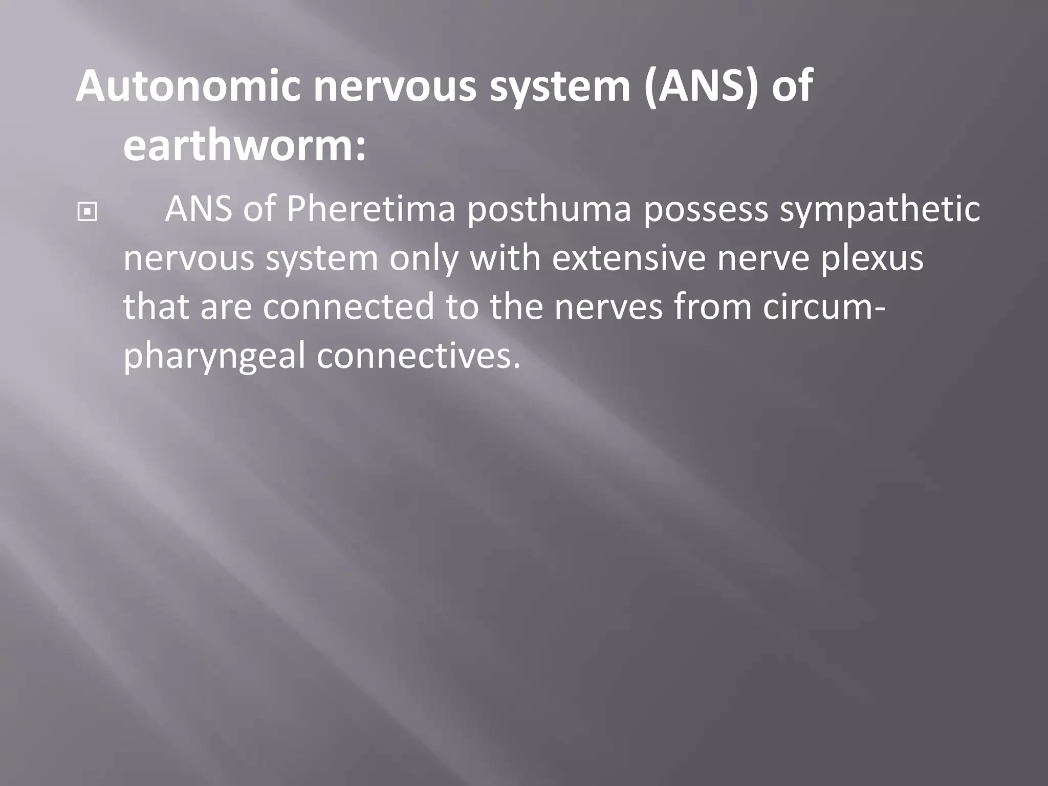 Segmented nervous system in annelids.pptx