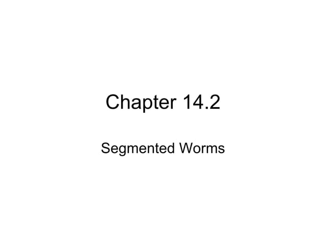 Segmented Worms | PPT