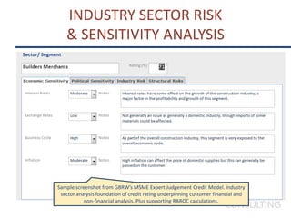 Segmenting the SME & Commercial Customer Banking Market | PDF
