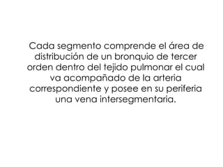 Segmentos Pulmonares Y | PPT