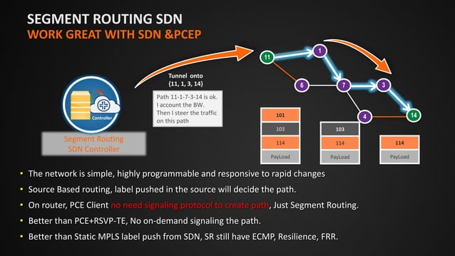 WAN SDN meet Segment Routing | PPT