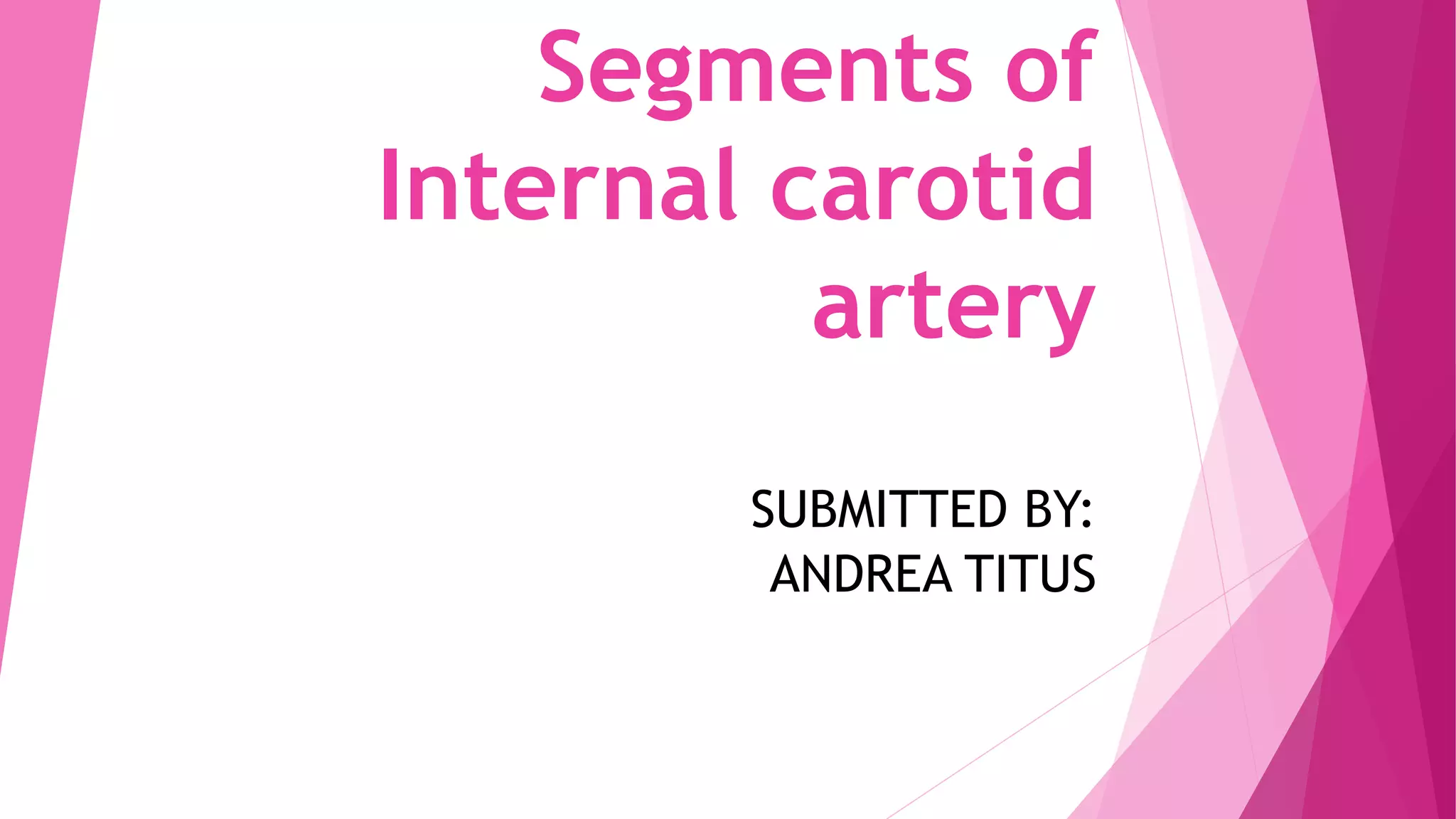 Segments of internal carotid artery | PPTX