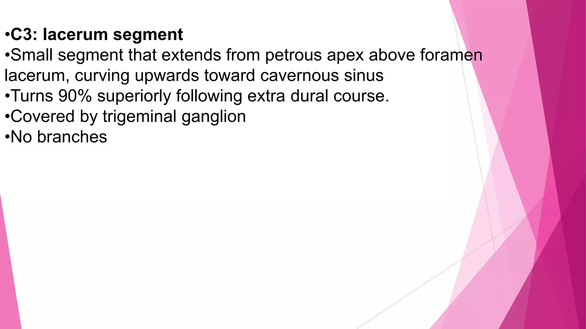 Segments of internal carotid artery | PPTX
