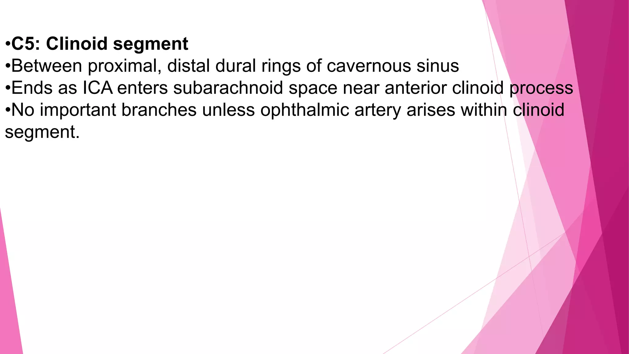 Segments of internal carotid artery | PPTX