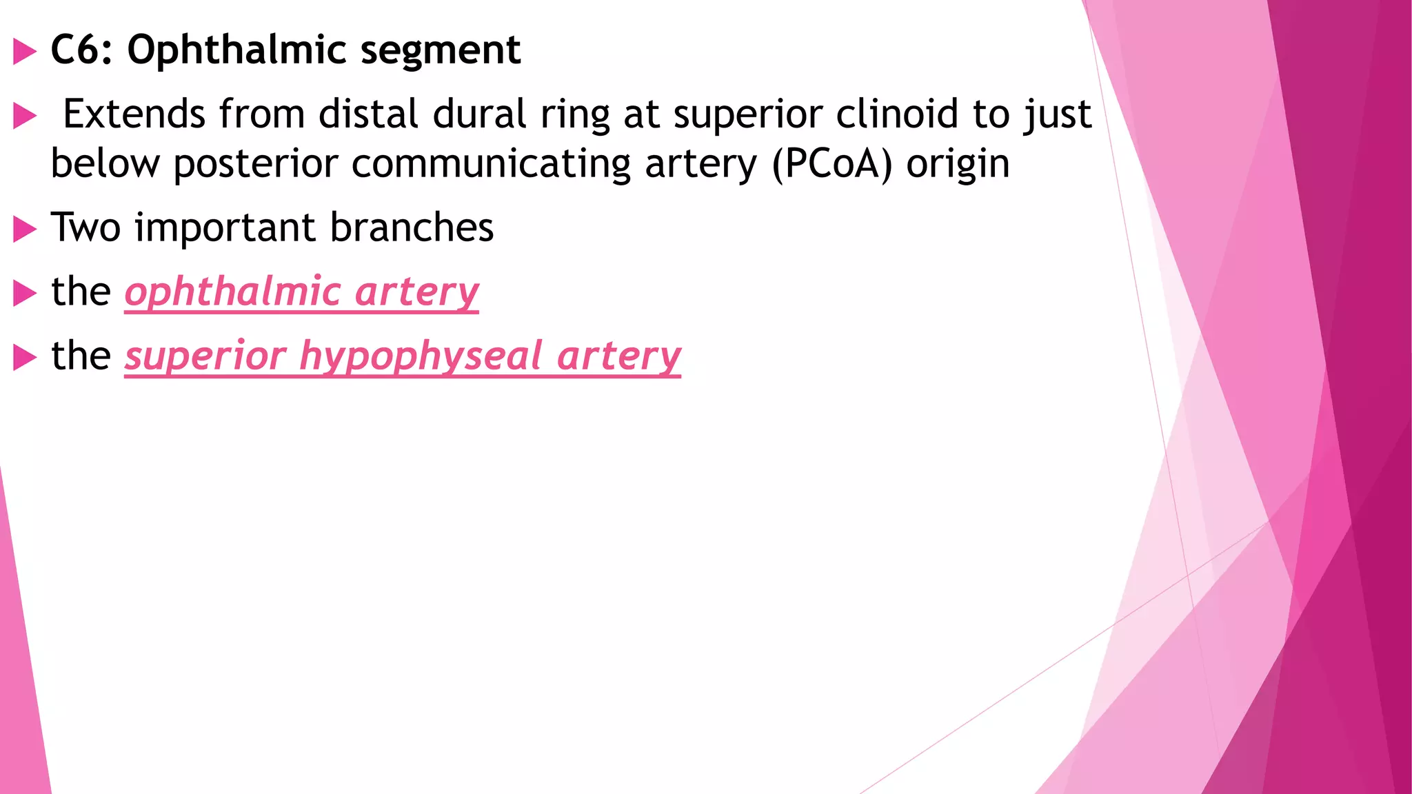 Segments of internal carotid artery | PPTX