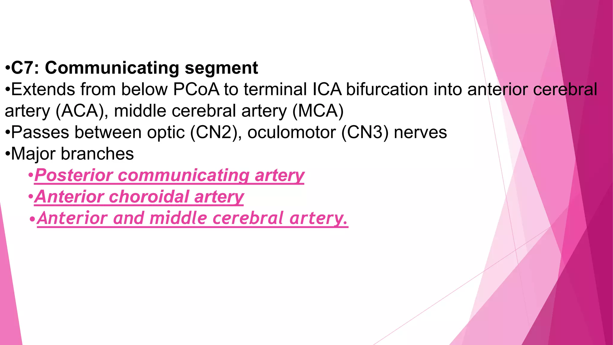 Segments of internal carotid artery | PPTX