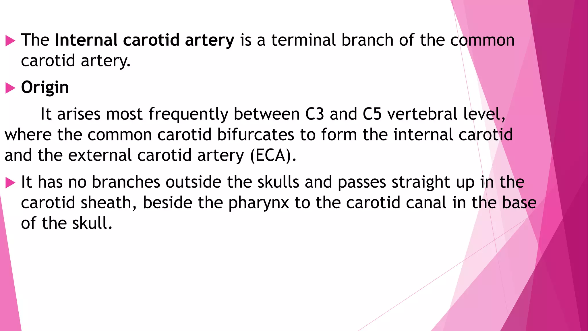 Segments of internal carotid artery | PPTX