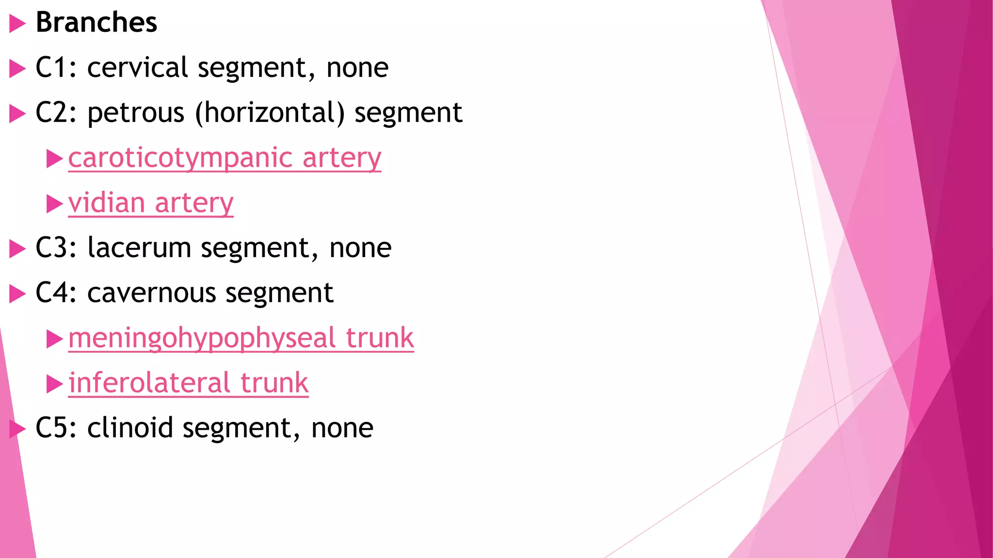 Segments of internal carotid artery | PPTX