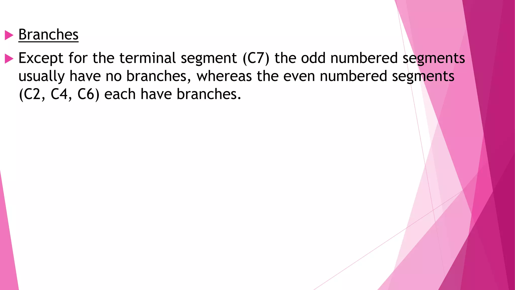 Segments of internal carotid artery | PPTX
