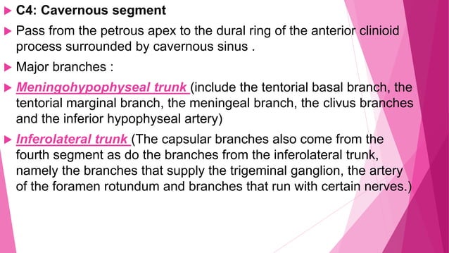 Segments of internal carotid artery | PPTX | Ear, Nose and Throat ...
