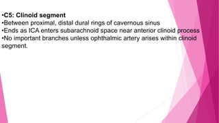 Segments of internal carotid artery | PPTX
