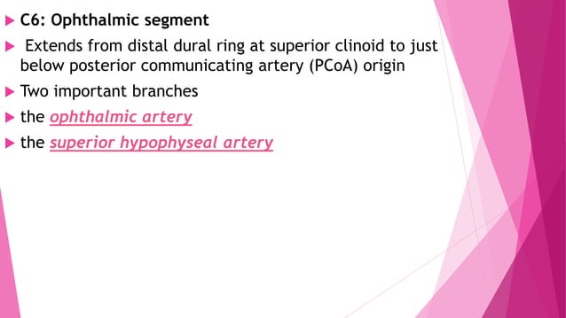 Segments of internal carotid artery | PPTX | Ear, Nose and Throat ...