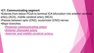 Segments of internal carotid artery | PPTX
