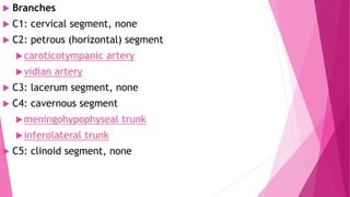 Segments of internal carotid artery | PPTX