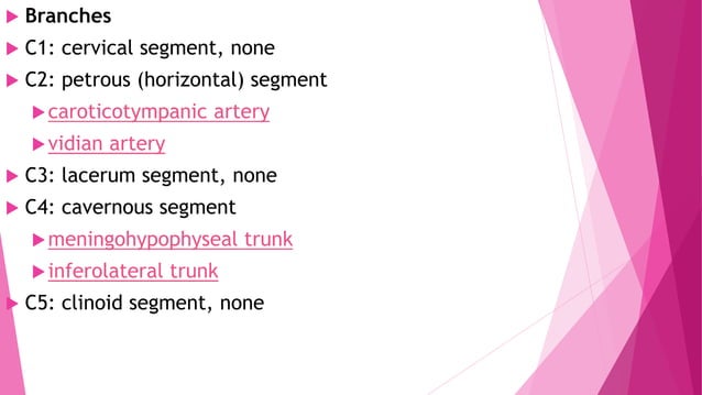 Segments of internal carotid artery | PPTX | Ear, Nose and Throat ...