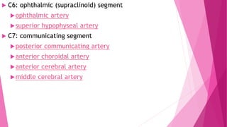 Segments of internal carotid artery | PPTX