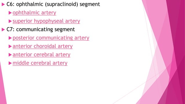 Segments of internal carotid artery | PPTX | Ear, Nose and Throat ...