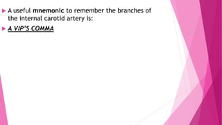 Segments of internal carotid artery | PPTX