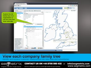 Segmetrix B2B Execution Dashboards | PPT