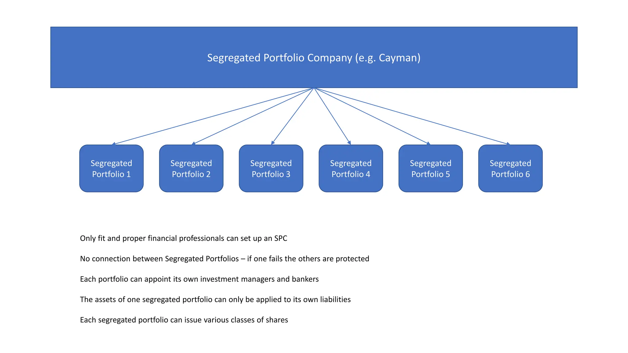 Segregated portfolio company overview.pptx