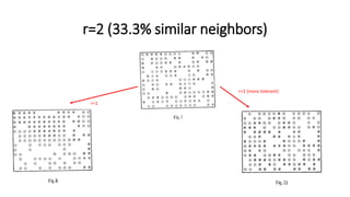 Segregation Schelling Model | PPTX