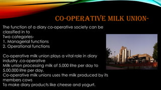 segregation of milk diaries in maharashtra.pptx