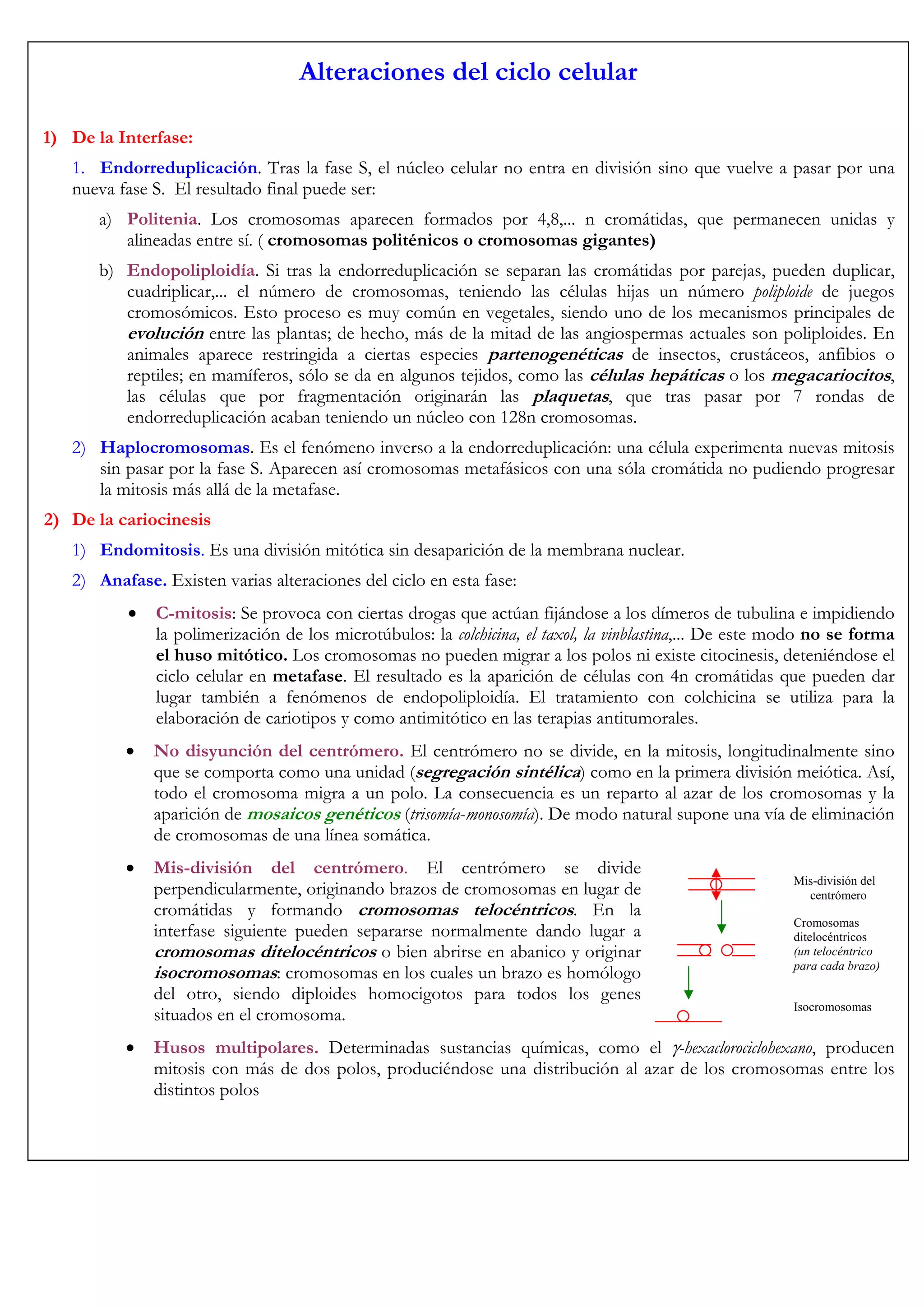 Ciclo celular II - Apoyo | PDF