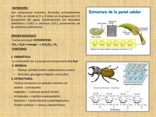 SEGUNDA CLASE BIOLOGÍA GLUCIDOS Y LIPIDOS VIRTUAL I UNIDAD 2021 VIRTUAL.ppt