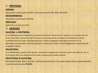 SEGUNDA CLASE BIOLOGÍA GLUCIDOS Y LIPIDOS VIRTUAL I UNIDAD 2021 VIRTUAL.ppt