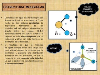 SEGUNDA CLASE BIOLOGÍA GLUCIDOS Y LIPIDOS VIRTUAL I UNIDAD 2021 VIRTUAL.ppt