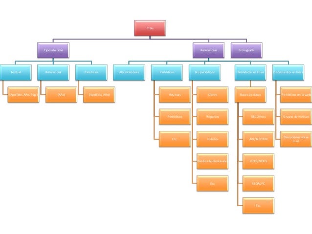 Segunda parte mapas conceptuales