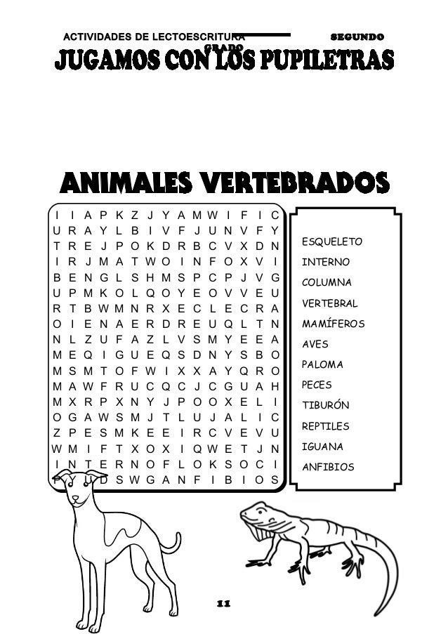 Sopa De Letras De Animales Vertebrados E Invertebrados Para Niños ...