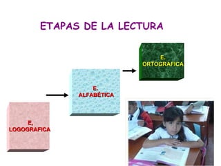 Procesos de la lectura | PPT