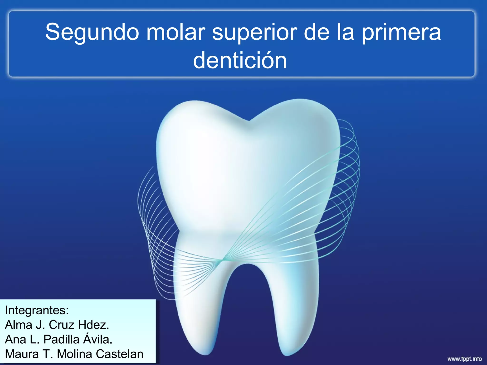 Anatomía Dental II - Segundo Molar superior Deciduo | PPT