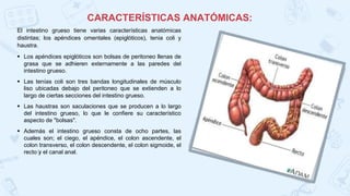 Fisiología del sistema digestivo | PPTX