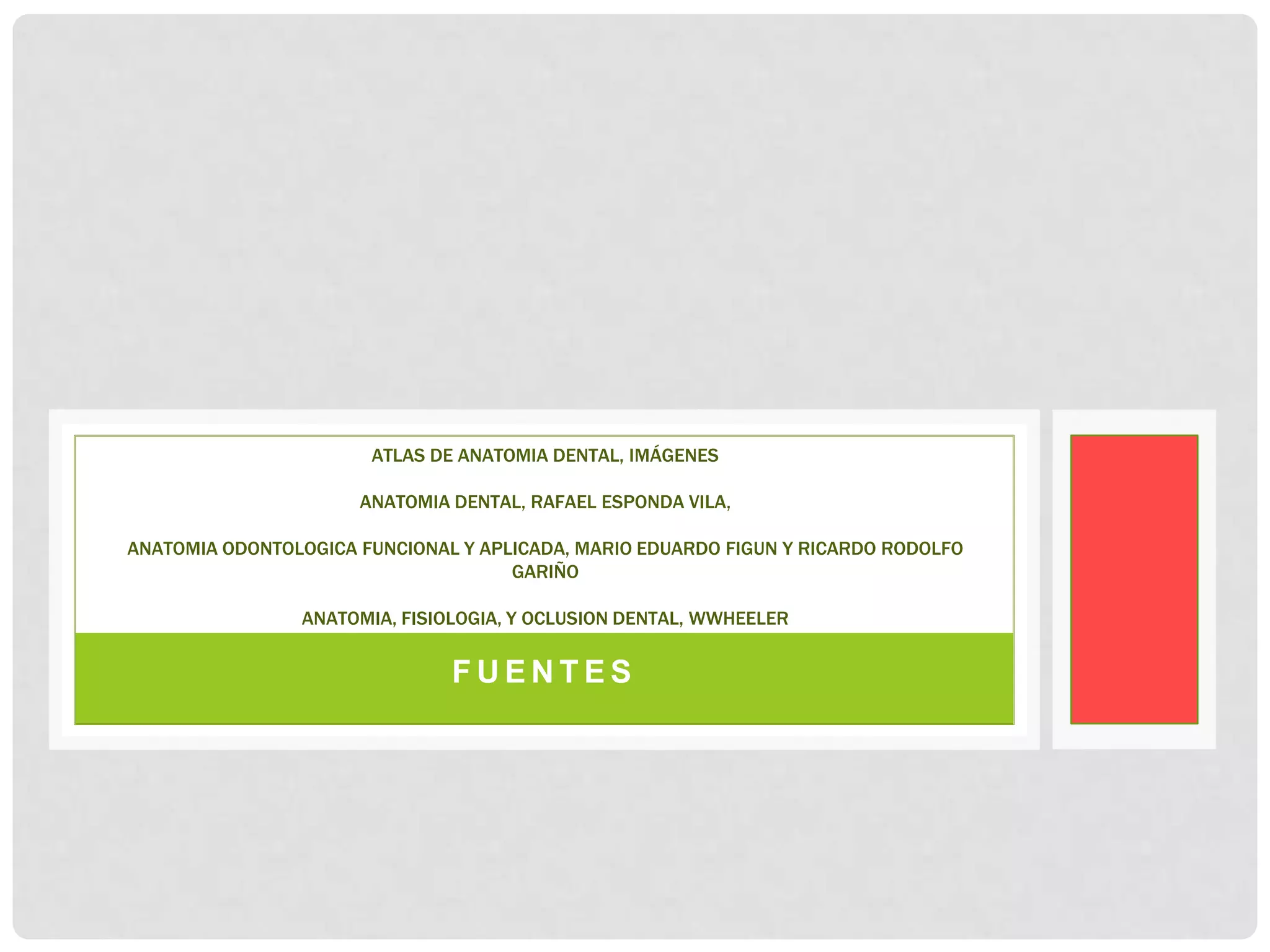 Segundo premolar superior | PPTX