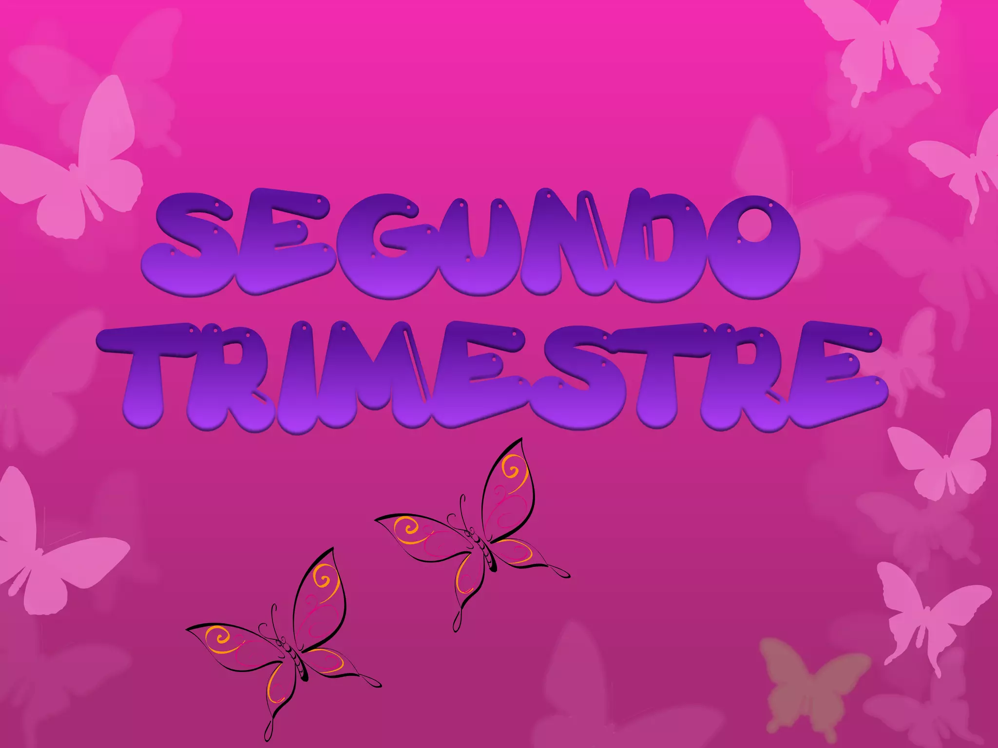 Segundo trimestre | PDF