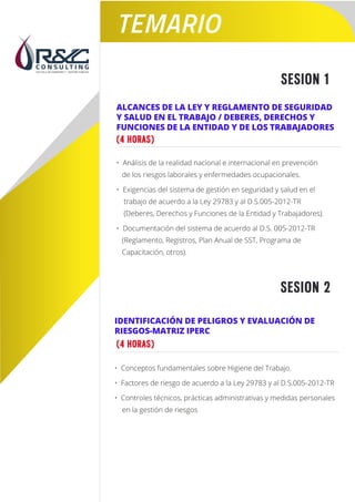 Taller: Seguridad y Salud en el Trabajo | PDF