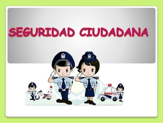 Seguridad ciudadana